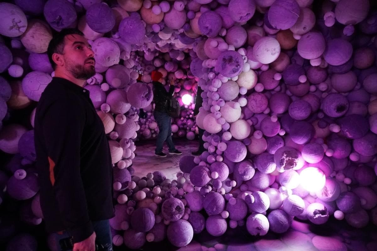 Moco Museum Tickets and Amsterdam Canal Cruise